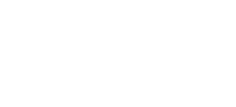 CHALLENGE AIR CARGO - Challenge Group